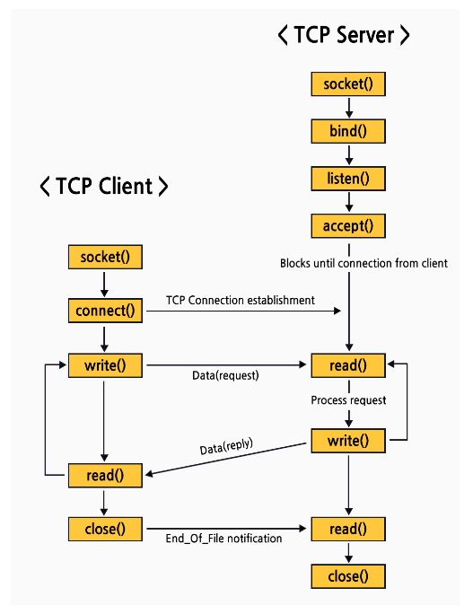 Python socket basic implementation