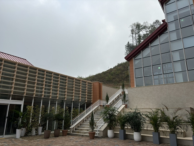 백야 자연휴양림 신축 녹지관 204호 후기