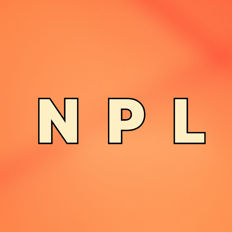 2025년 NPL 회수방식 변화 (투자자, 시스템, 부실채권) :: Insight Debt-금융,NPL, 일상의 인사이트