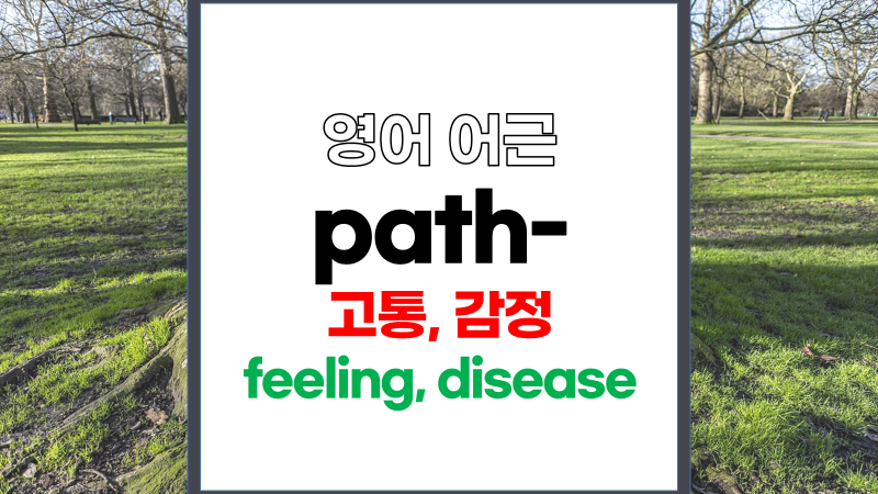 [영어어원사전] 어근 path-로 영어단어 공부하기 (그리스말 어원; patheia, pathein, paskhein ...
