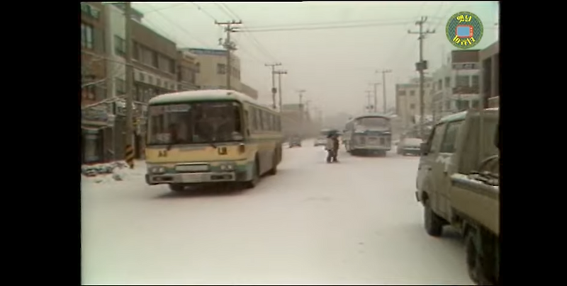 동해상사 자일대우 BV101