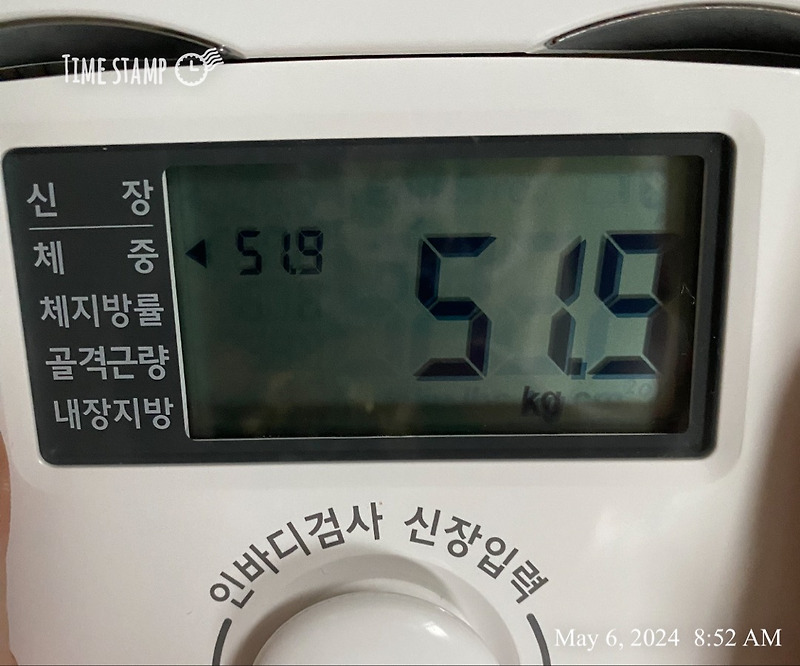 5월 6일 D 67 51.9kg -0.5kg(낫또다이어트) :: 소소한일상
