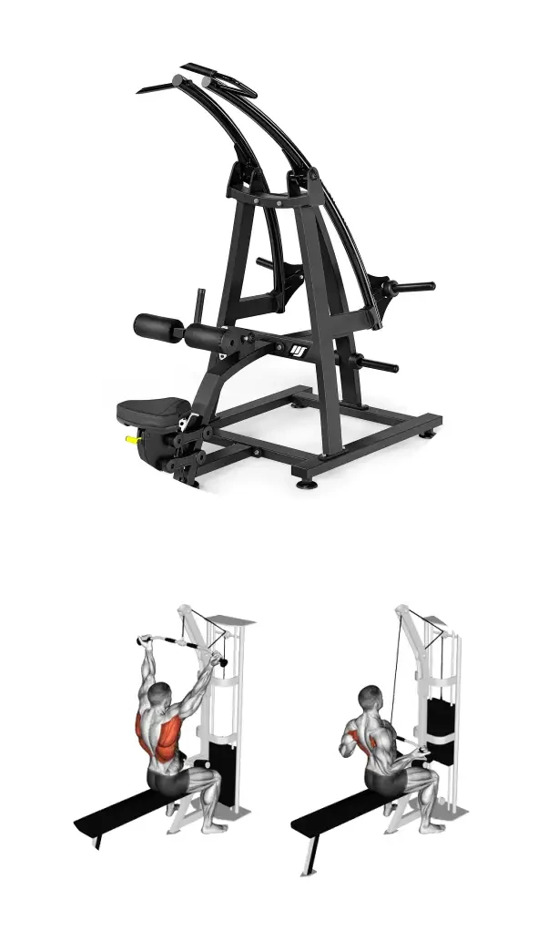 Lat Pulldown (랫풀다운)
