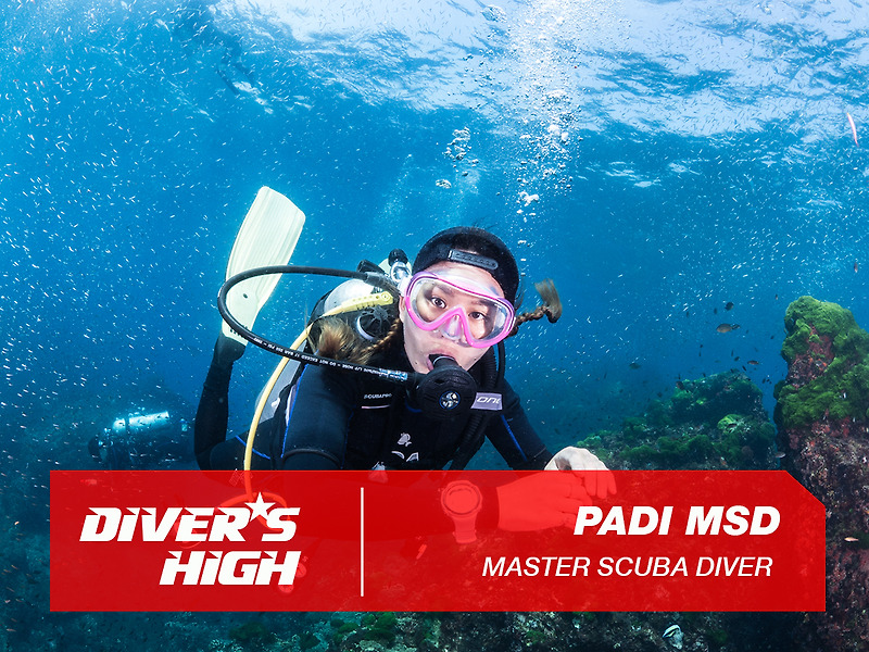06. PADI 마스터 스쿠버 다이버(MSD) 소개 및 비용 안내