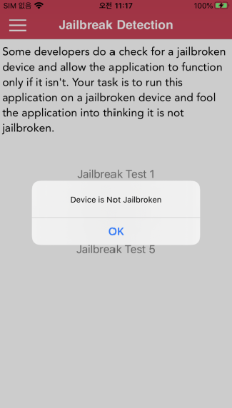 [iOS] DVIA-v2(Jailbreak Detection - 2)
