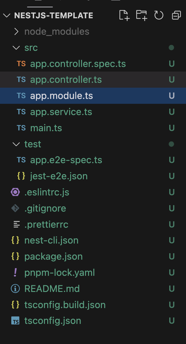[nestjs] 1. 테스트 프로젝트 생성