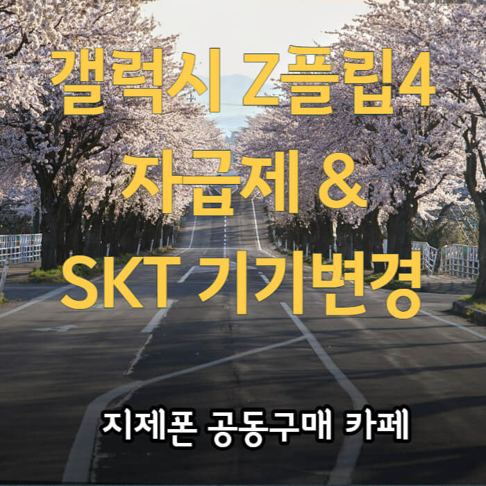 4월 갤럭시 Z플립4 자급제, SKT 기기변경 공동구매 가격 소개