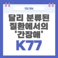 달리 분류된 질환에서의 간장애 K77 코드 총정리