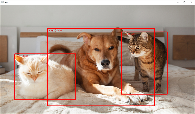 Software Engineer :: [MediaPipe] Object Detection 객체 감지