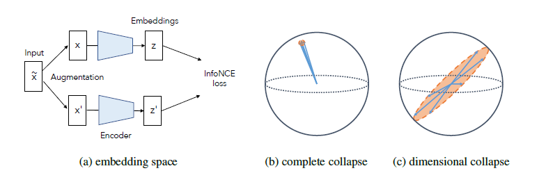 논문 읽기 [DirectCLR] - Understanding Dimension Collapse in Contrastive self-supervised learning