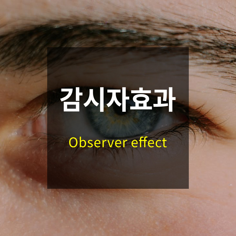 [심리용어] 감시자 효과(Observer effect)란 무엇일까요?