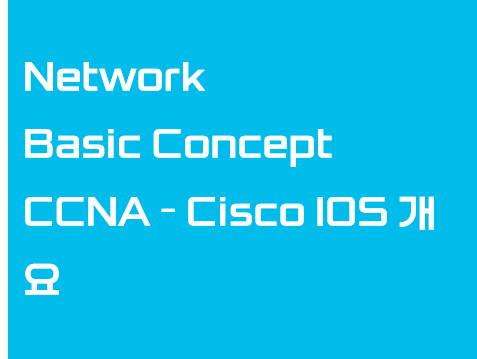 CCNA - Cisco IOS 개요