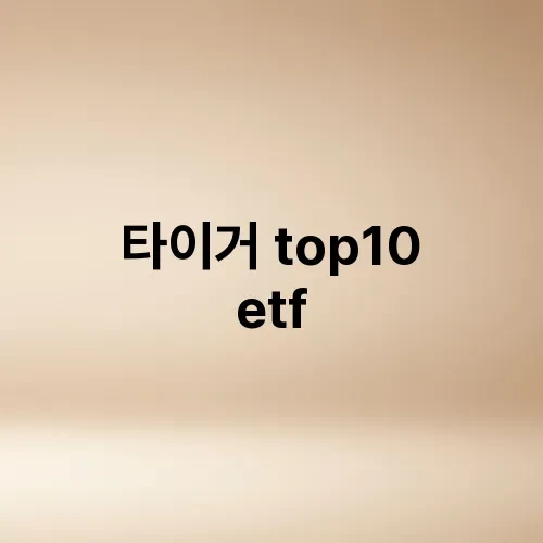 타이거 top10 etf