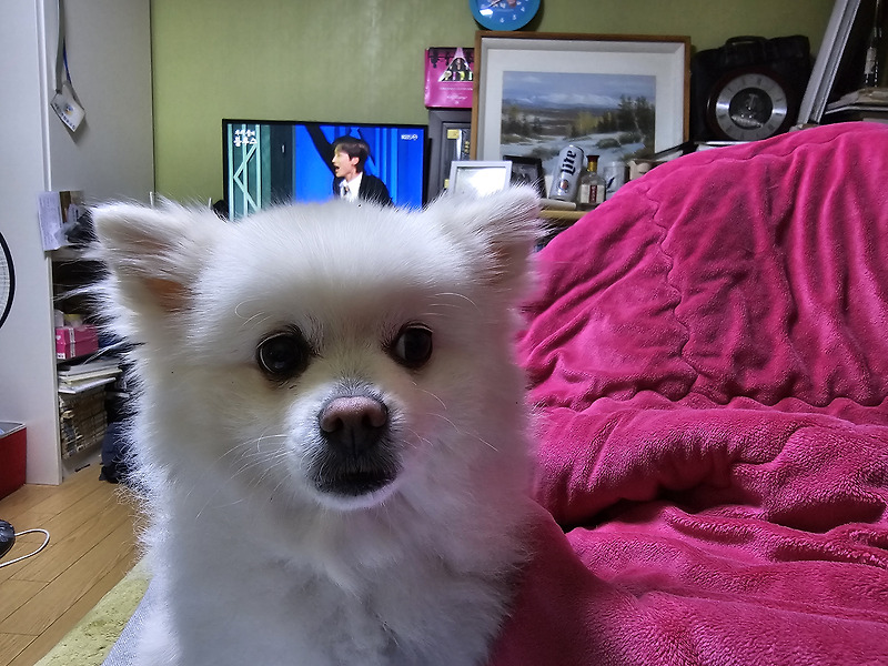 KBS 개그콘서트...(첫방)