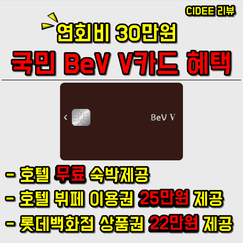 국민 BeV V카드 혜택 및 장단점 - KB국민신용카드 베브5카드 포인트 피킹률