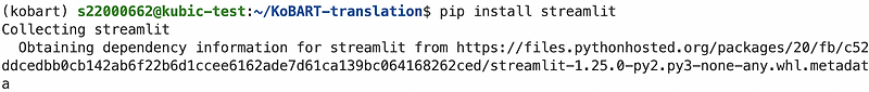 Error Could Not Install Packages Due To An Oserror Errno 117 Structure Needs Cleaning