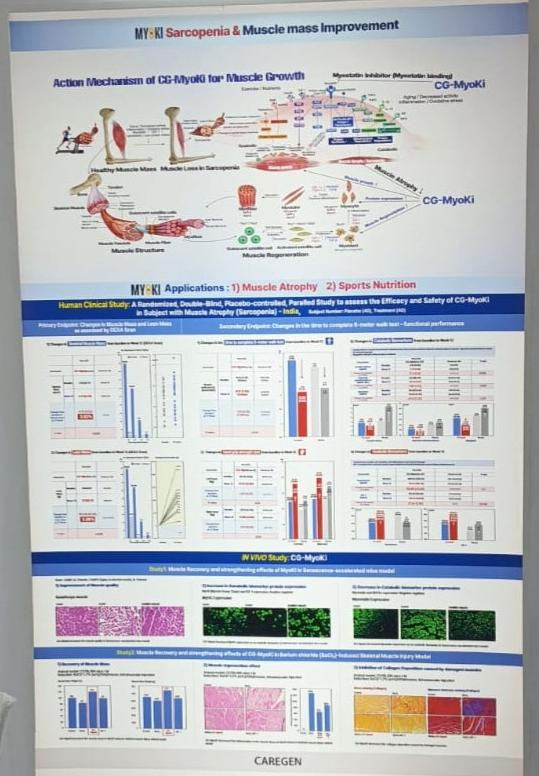 마이오키(CG-MyoKi) 작용 기전