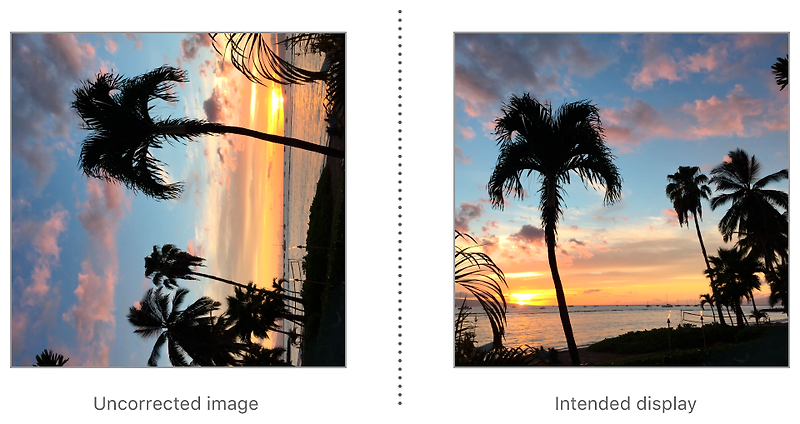 [iOS] UIImageView Orientation과 이미지를 회전하는 방법 — Hi Lily