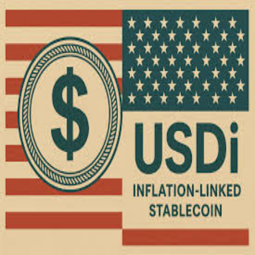 스테이블코인 USDi 출시- 인플레이션을 반영하는 디지털 현금