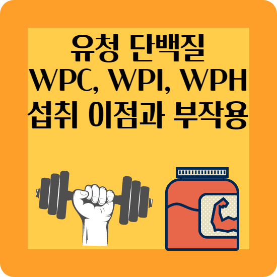 유청 단백질(WPC, WPI, WPH) 섭취의 이점과 부작용