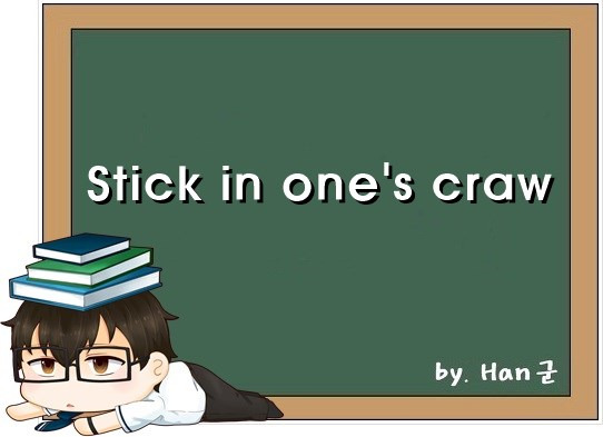 Stick in one's craw. (마음에 들지 않다, 화나게 하다, 괴롭게 하다.)
