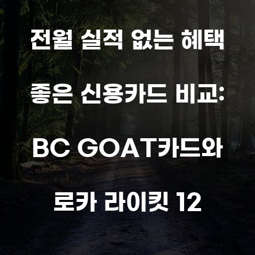전월 실적 없는 혜택 좋은 신용카드 비교: BC GOAT카드와 로카 라이킷 12