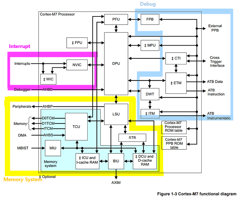 [ARM Cortex] 2. Cortex-M7 Component Block(4) - LSU, TCU, STB, MIU, BIU ...