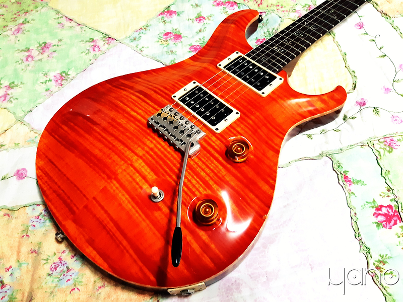 2009 PRS Custom 24 Orange - 1부, 첫 만남