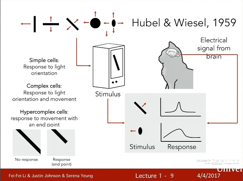 [CS231n] Lecture 1 : Introduction to CNN for Visual Recognition 요약 — 기록