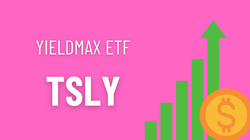 2025년 5월 일드맥스 TSLY 배당금이 확정되었습니다.