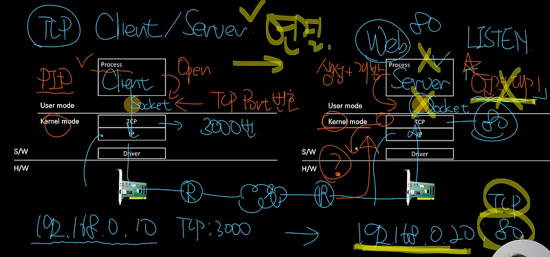 L4 수준 대표주자 TCP와 UDP