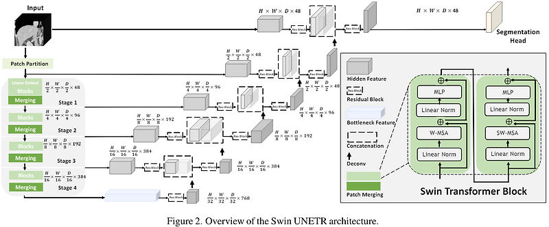 [논문 리뷰] Self-Supervised Pre-Training of Swin Transformers for 3D ...
