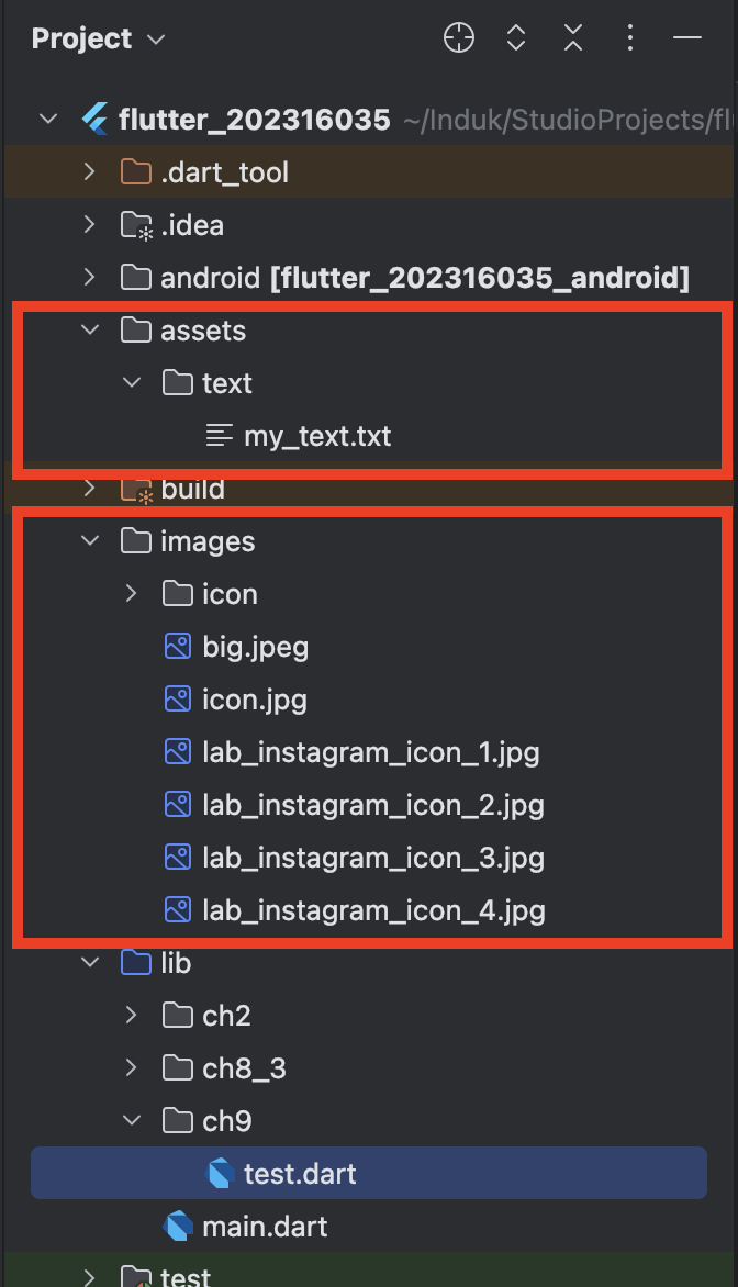 Flutter 7주차 (1) - 애셋 활용하기