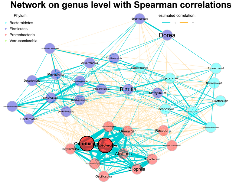 [NetCoMi] phyloseq으로 spearman correlation network plot을 그려보자.