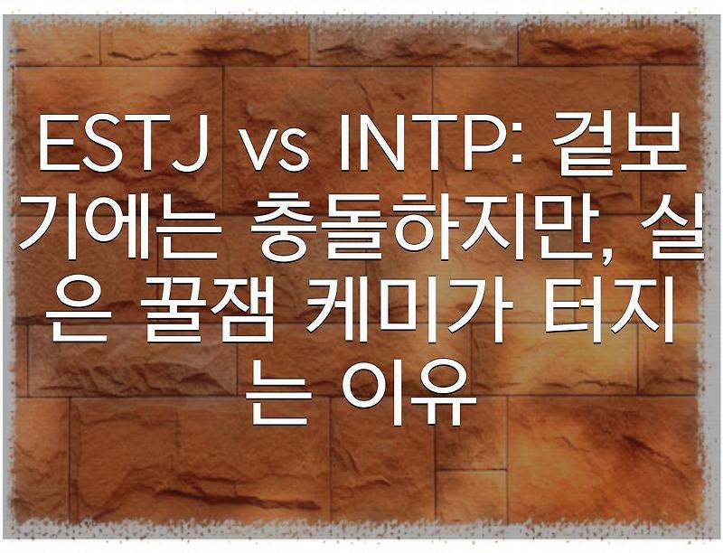 ESTJ vs INTP: 겉보기에는 충돌하지만, 실은 꿀잼 케미가 터지는 이유