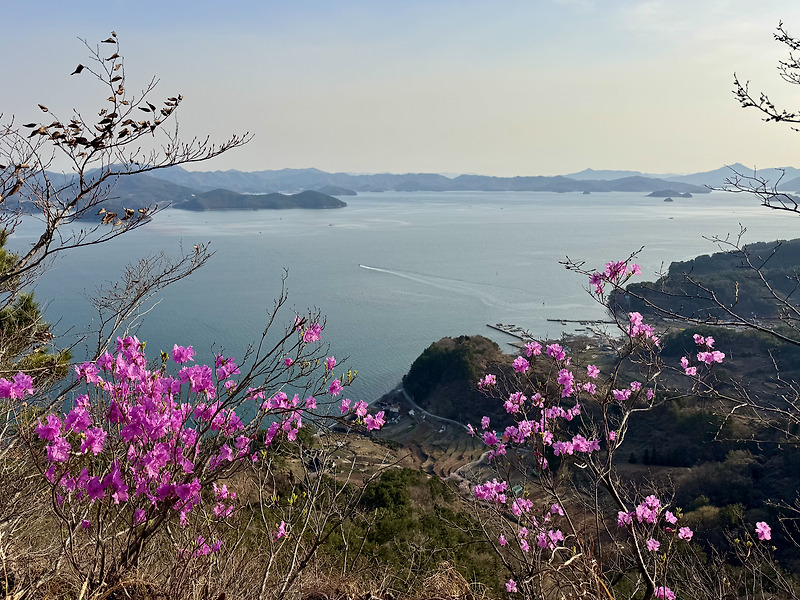 “세세년년인부동(歲歲年年人不同)┃詩人이 보는 世上┃2025-04-07