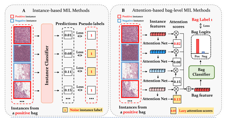Rethinking Multiple Instance Learning for WholeSlide Image Classification: A Good ...