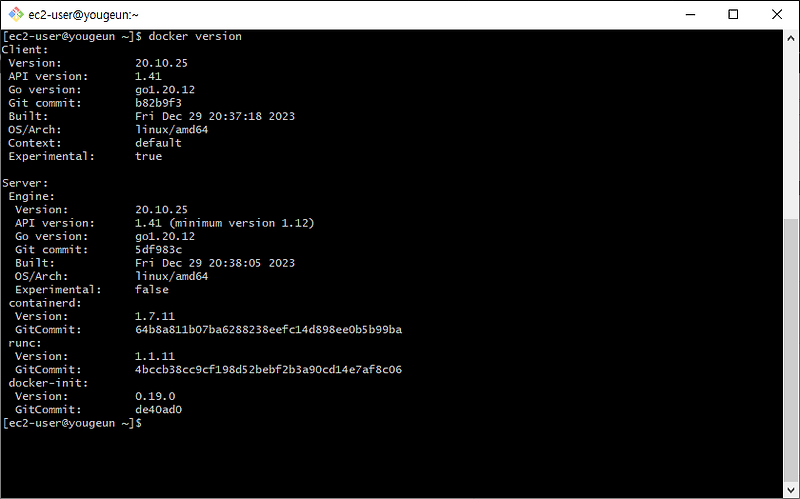 Linux Ec2에 docker 설치