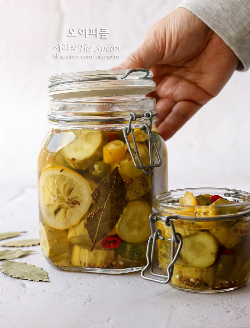 [LEVEL-2] web-deserialize-python — 쿼카가 코딩을 하면?