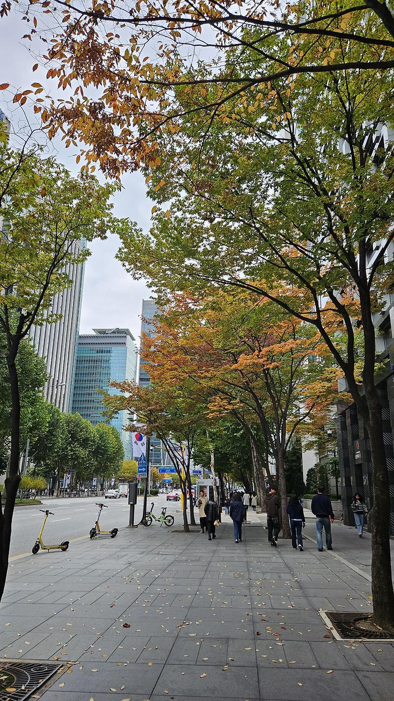 가을이 들었습니다.