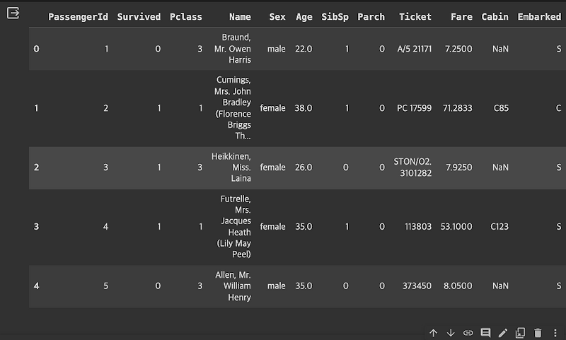 Kaggle 캐글데이터 분석 타이타닉 데이터 분석하기 2 Pandas 판다스로 데이터 확인