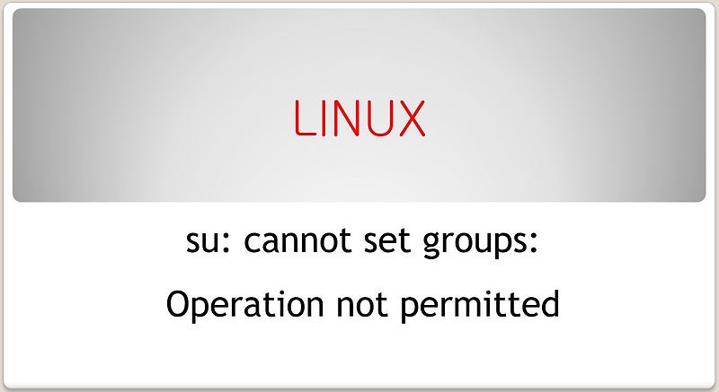 [리눅스] su: cannot set groups: Operation not permitted