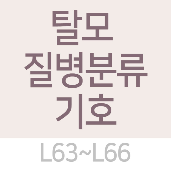 탈모 질병코드 L63 L64 L65 L66