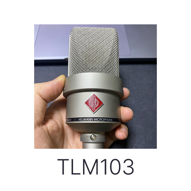 노이만 TLM103 콘덴서 마이크 후기