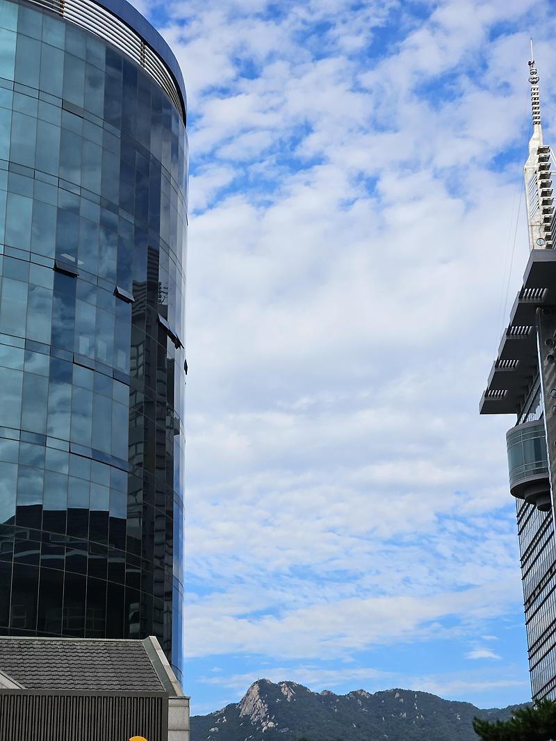 Tistory를 사용하는 이유 — HeeHoHub