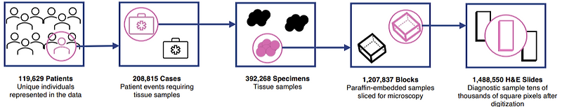[Paper Review] Virchow: A Million-Slide Digital Pathology Foundation Model