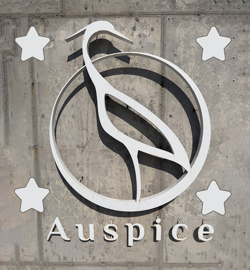 포항 오션뷰, 신상카페, 어스피스 (auspice) 카페 후기