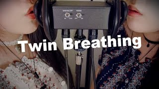 [유튜브 리뷰][ASMR PPOMO 뽀모] ASMR Twin Breathing & Ear Blowing with Inhaling