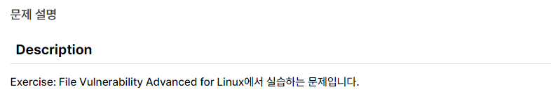 [DreamHack]드림핵 File Vulnerability Advanced for linux