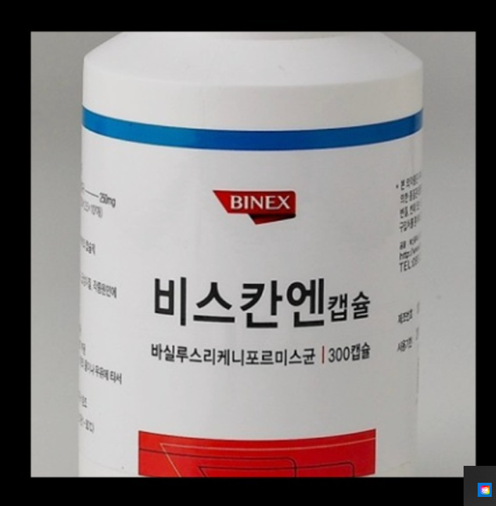 비스칸엔 캡슐 성분 효능 알아보기 - IT 좋아하는 약사